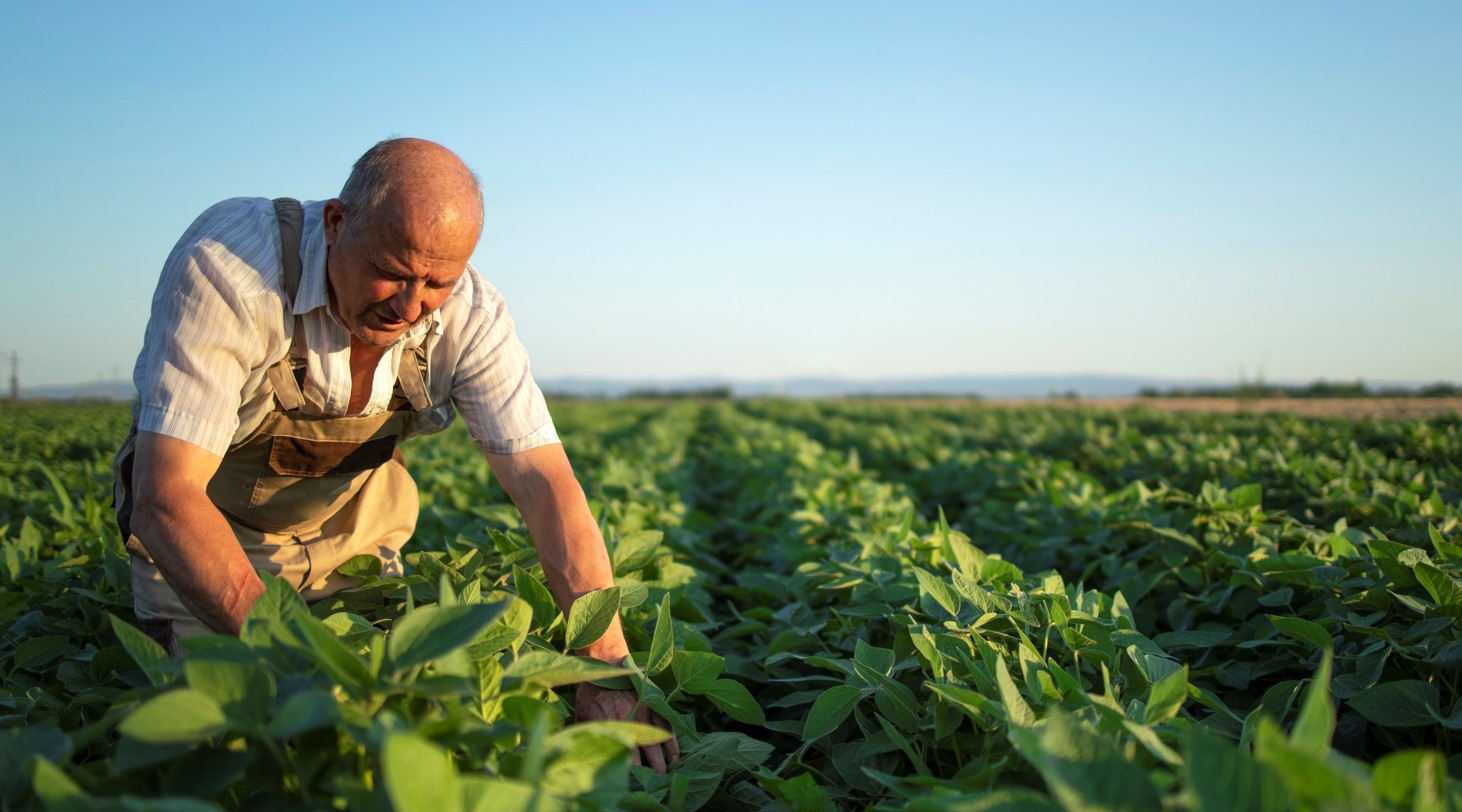 ¿Cómo ganar la confianza del productor agrícola? - Versat